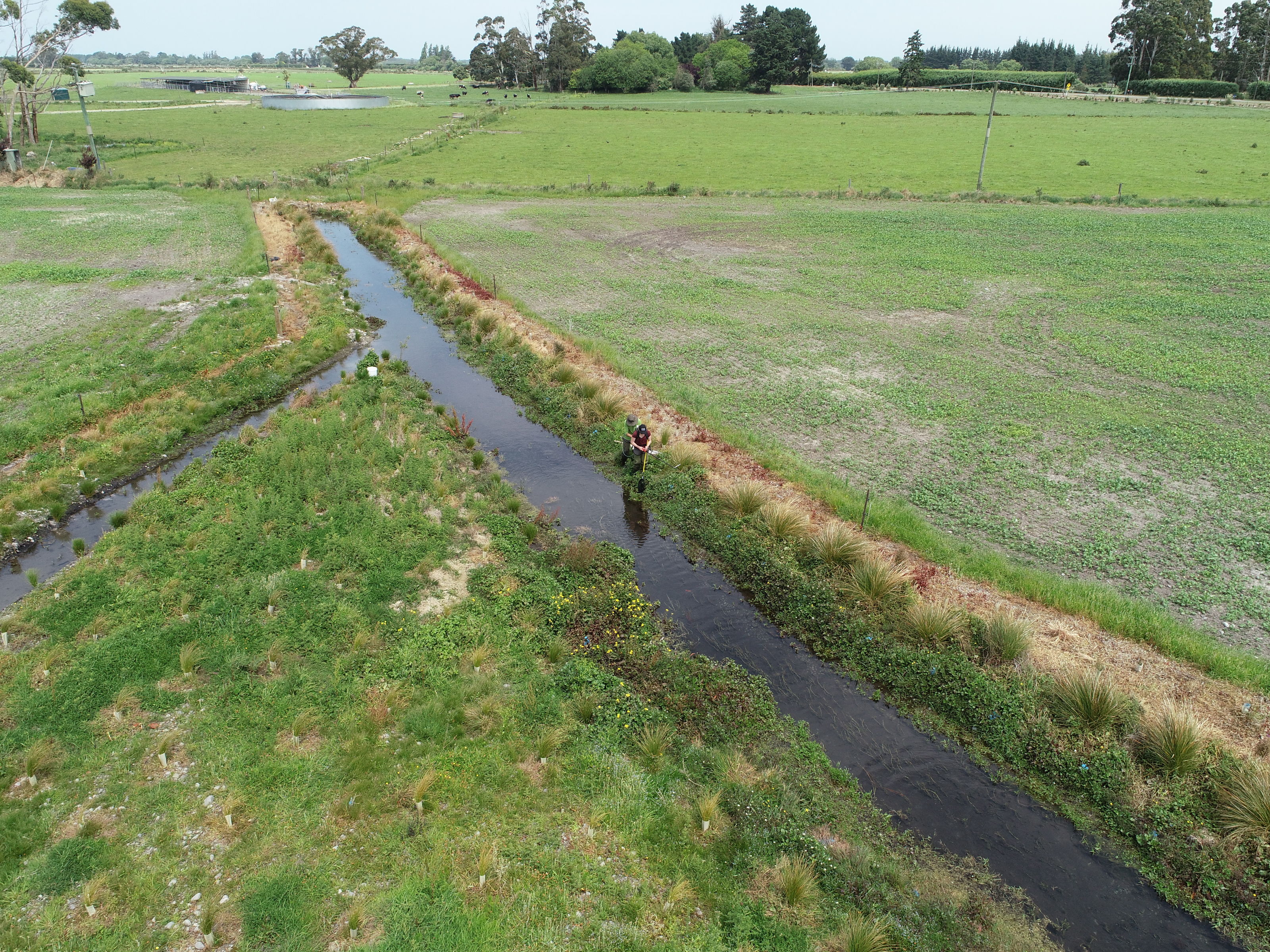 LandscapeDNA • Living Water
