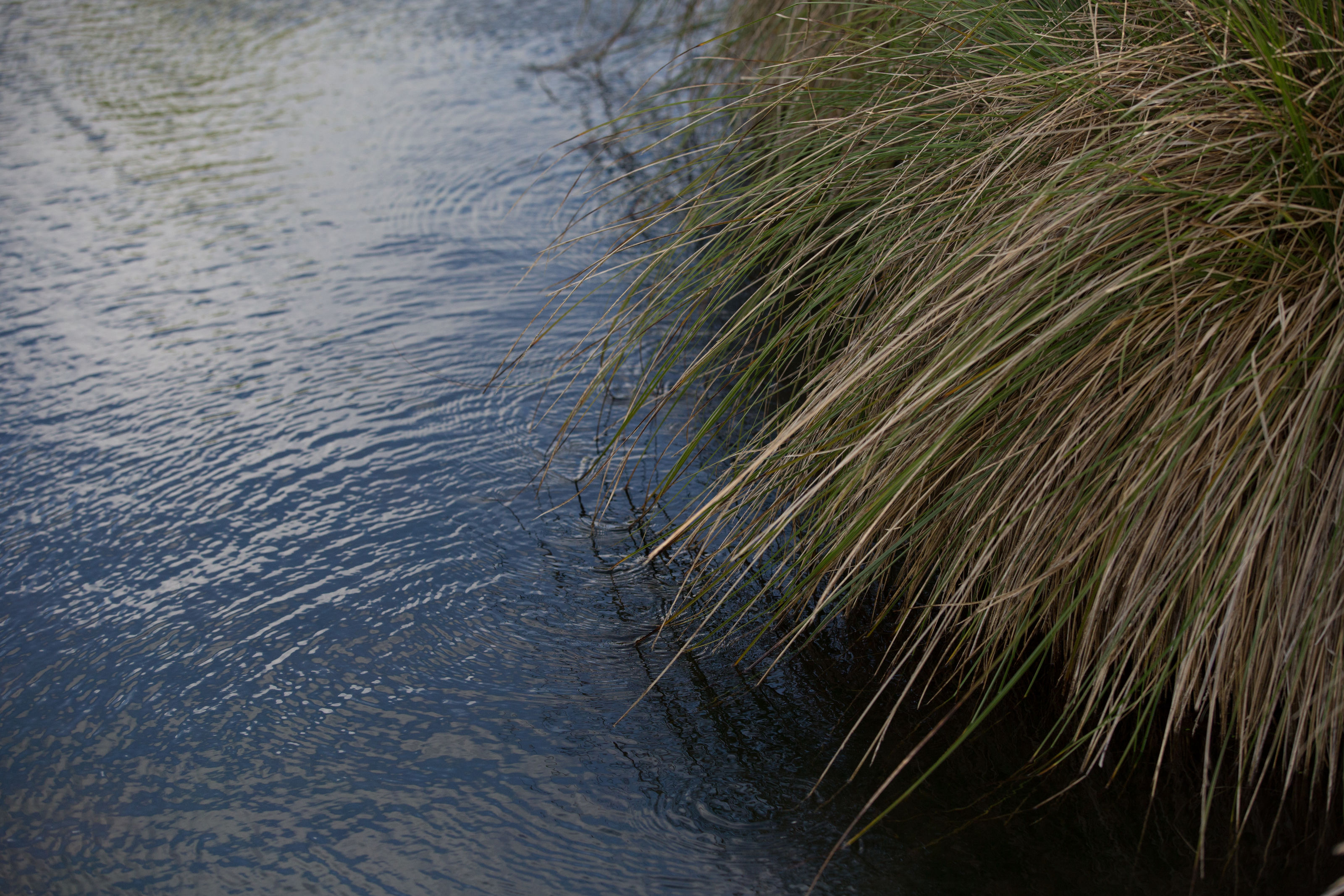 Home • Living Water