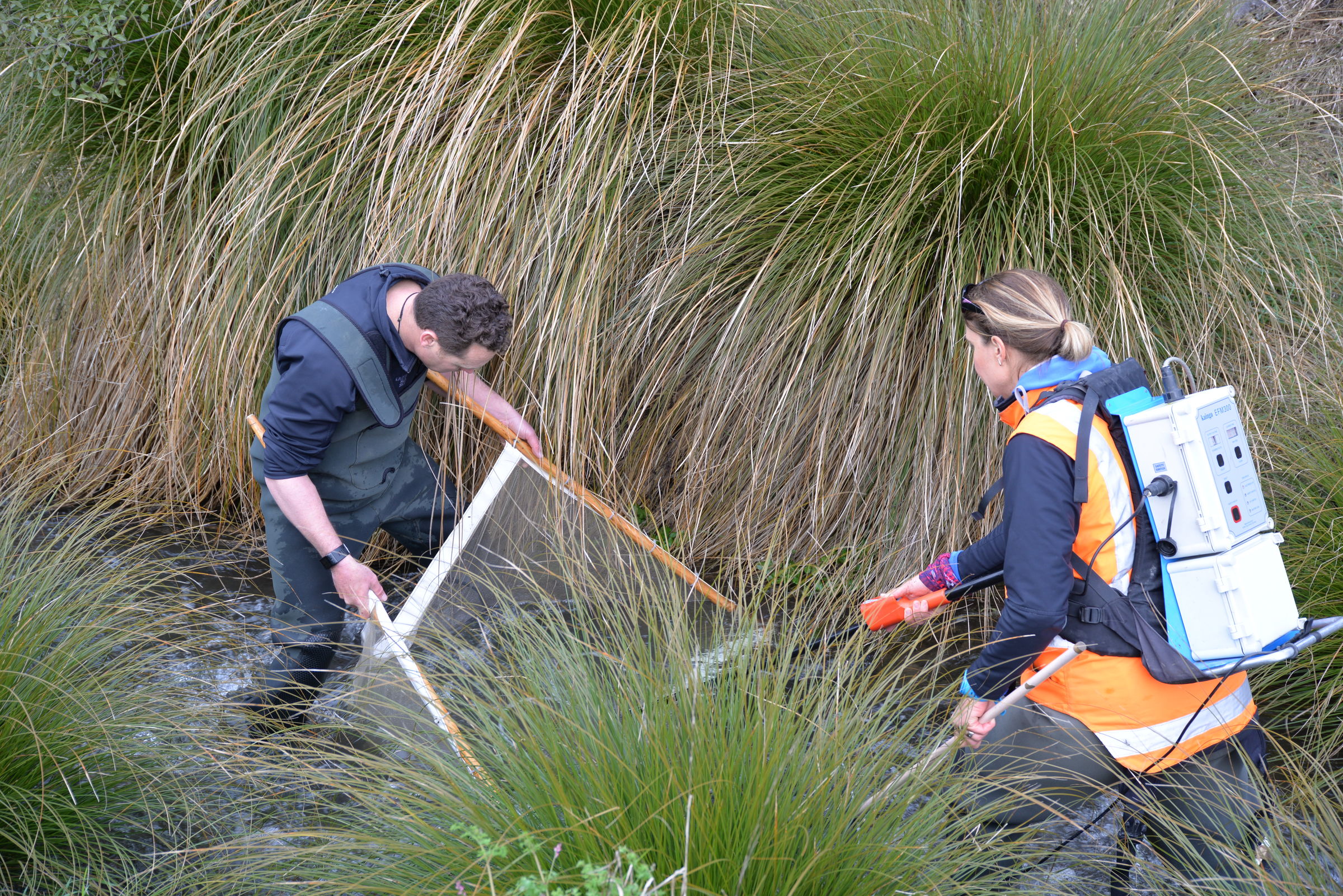 Monitoring and evaluation critical to learning from water quality ...
