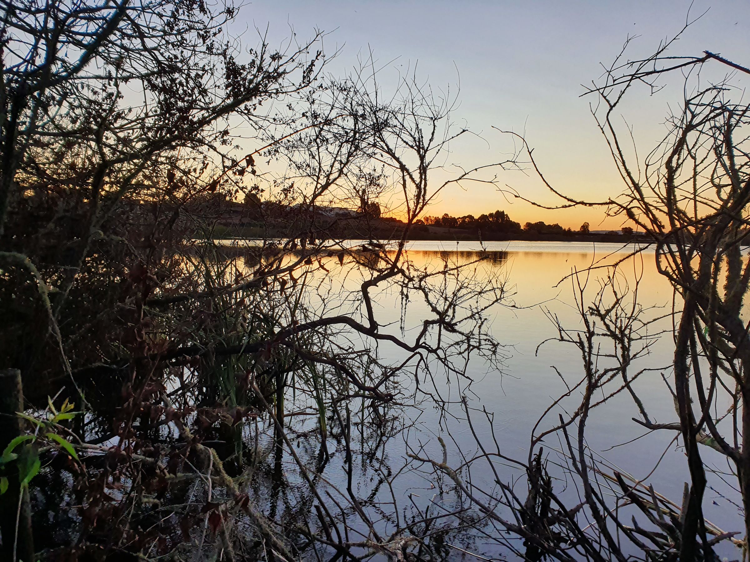 Lake Ruatuna: A demonstration site • Living Water