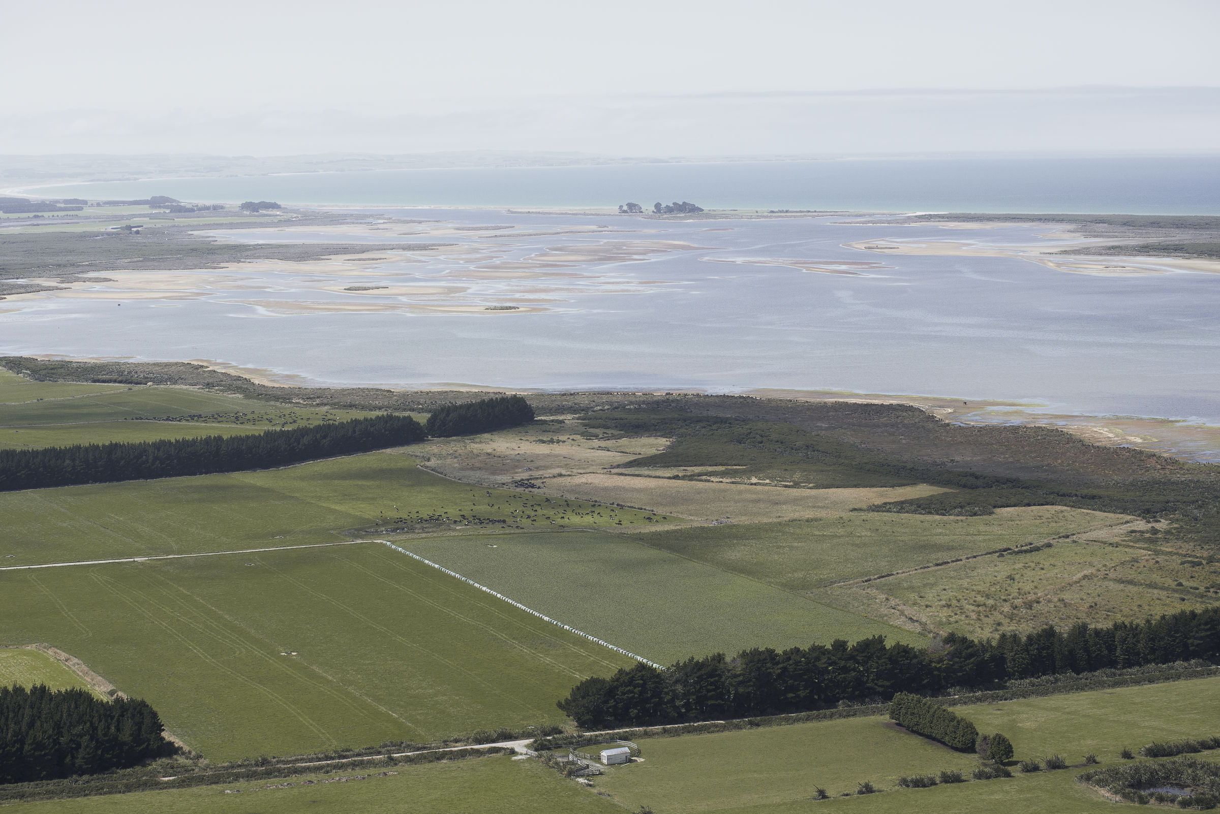 Waituna Lagoon/Waipārera • Living Water