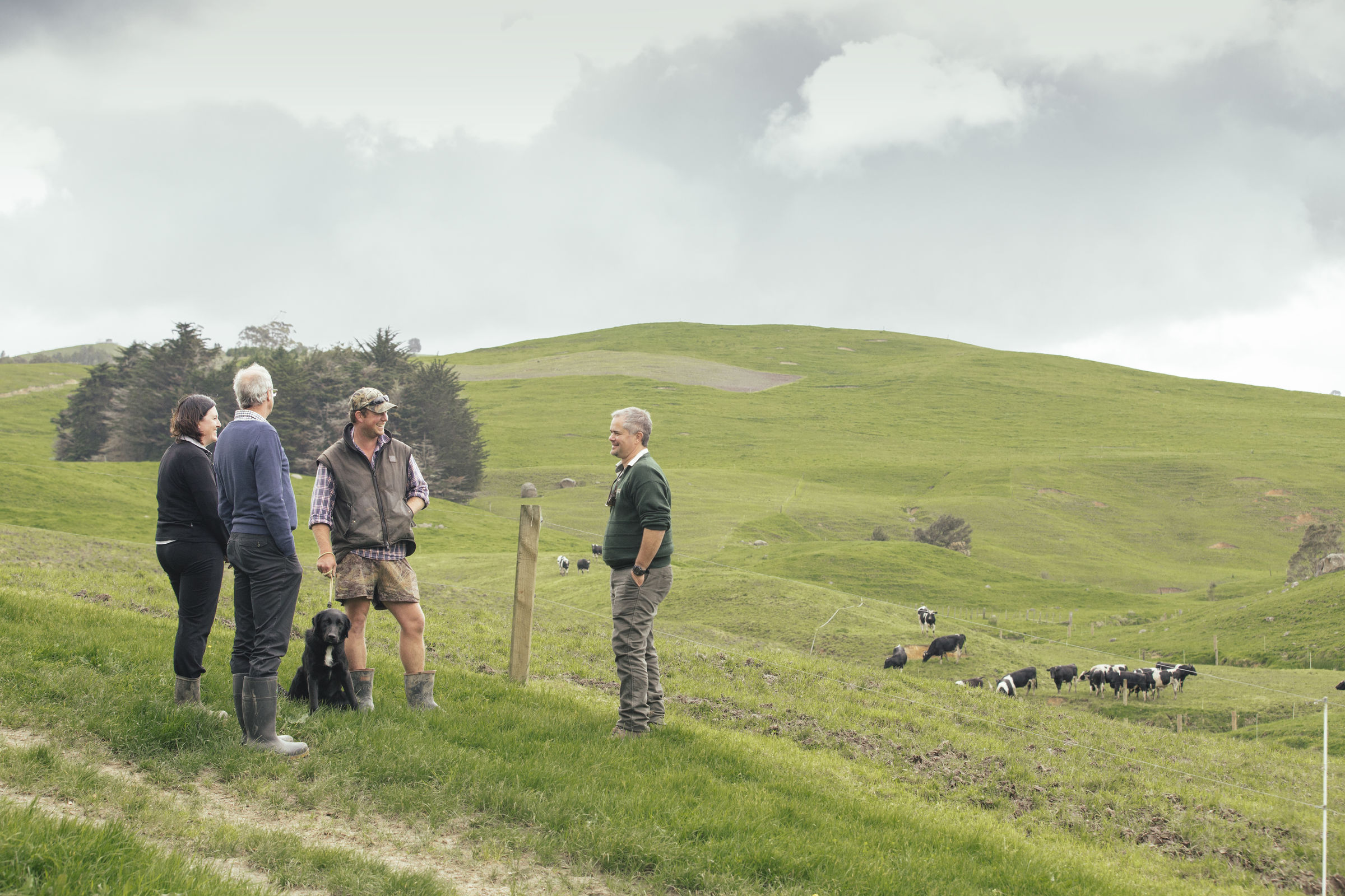 Catchment Condition Survey • Living Water