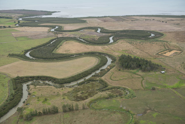 Wairua River/Te awa o Wairua • Living Water
