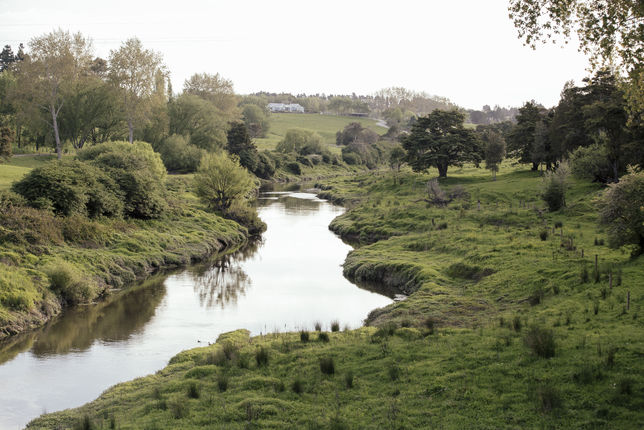 Wairua River/Te awa o Wairua • Living Water