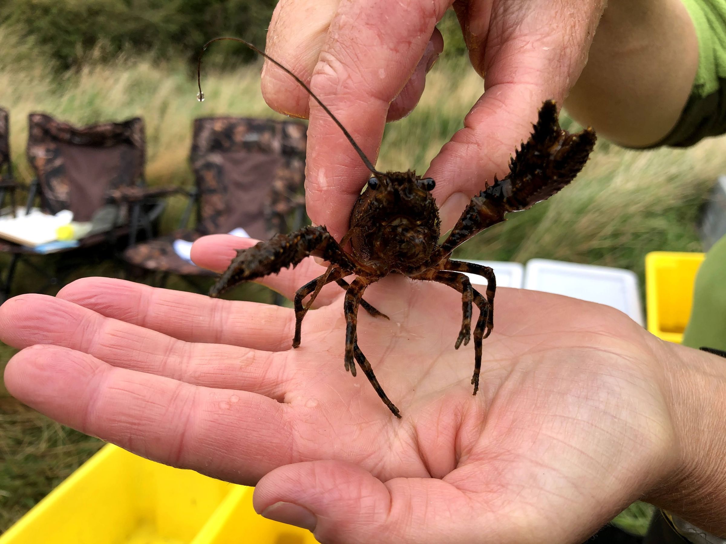 Fish survey and isotope analysis • Living Water