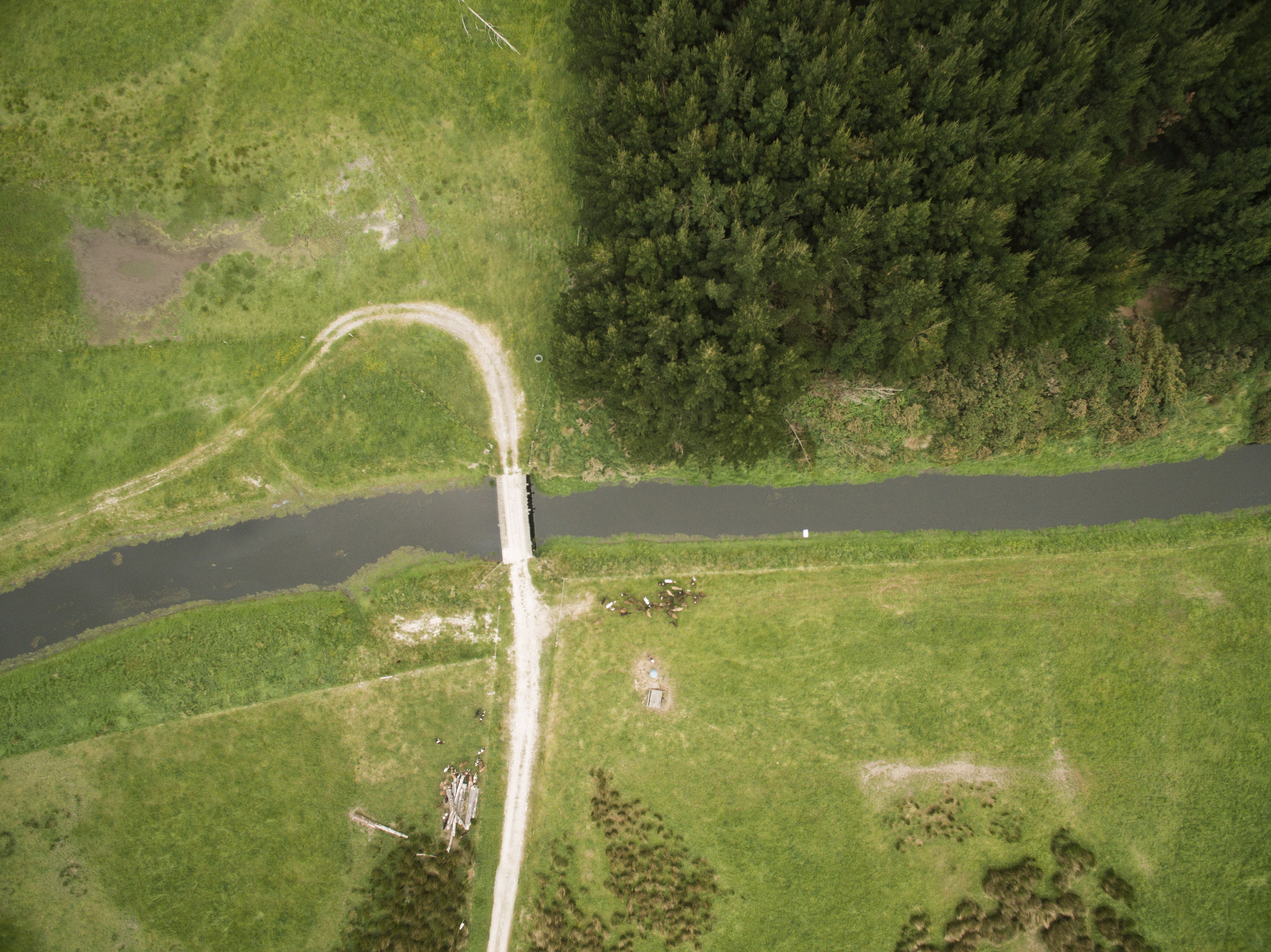 LandscapeDNA • Living Water