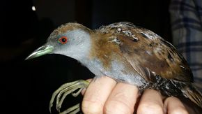 Home • Living Water