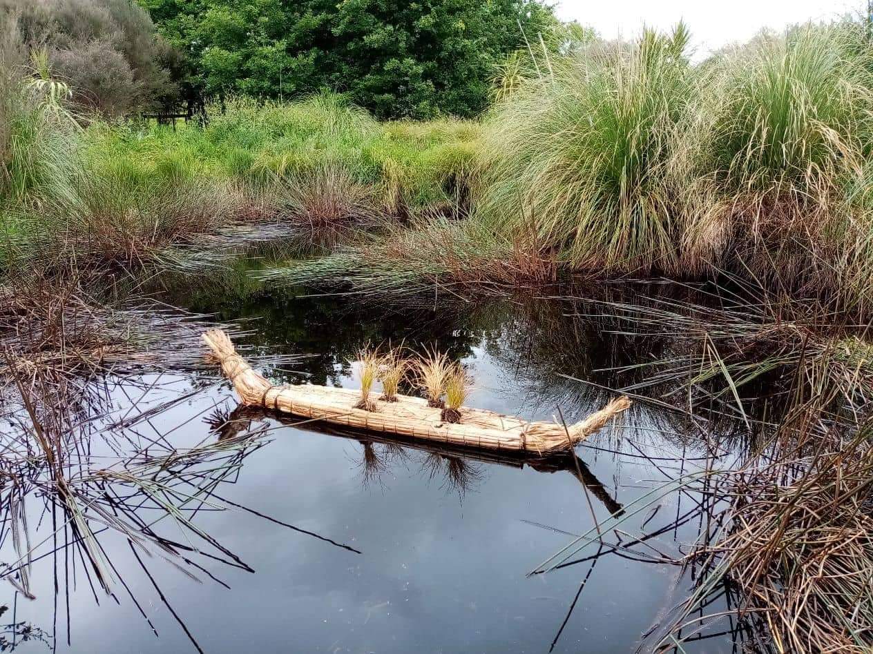 Mokihi - organic floating wetland trial • Living Water
